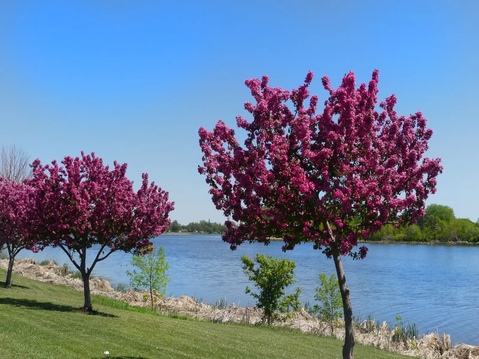 Home, Property & Community | City of Portage la Prairie